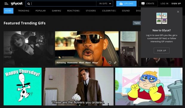 GIFs, GIFs, GIFs: Hier GIFs lustige Animationen für jeden Anlass | t3n