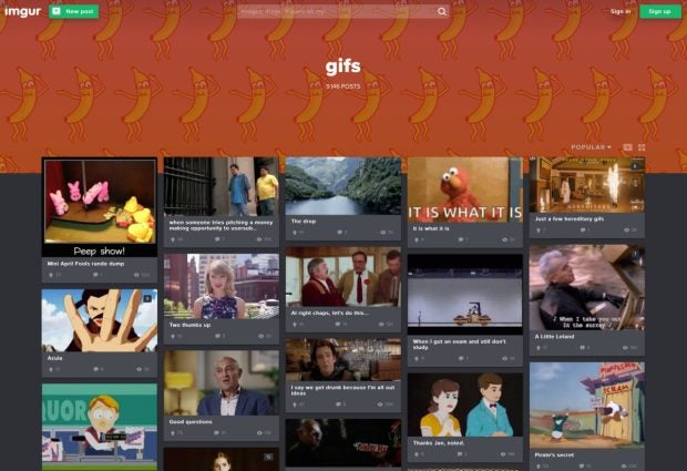 GIFs suchen & finden: GIF Suchmaschinen im Überblick