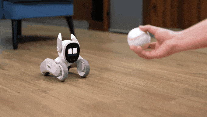 Ein Roboter so süß wie ein Welpe: Die putzige Loona erobert gerade ...