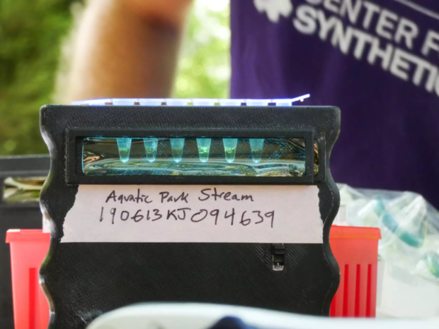 Rechnen mit DNA: Bio-Computing zeigt, was heute schon möglich ist