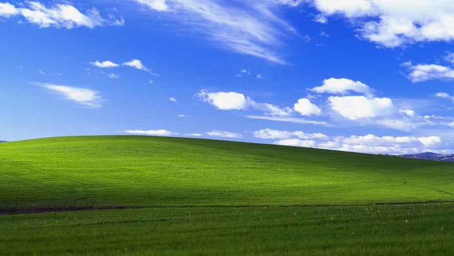 Microsoft macht aus dem ikonischen XP-Hintergrund Crocs – mit Clippy ...